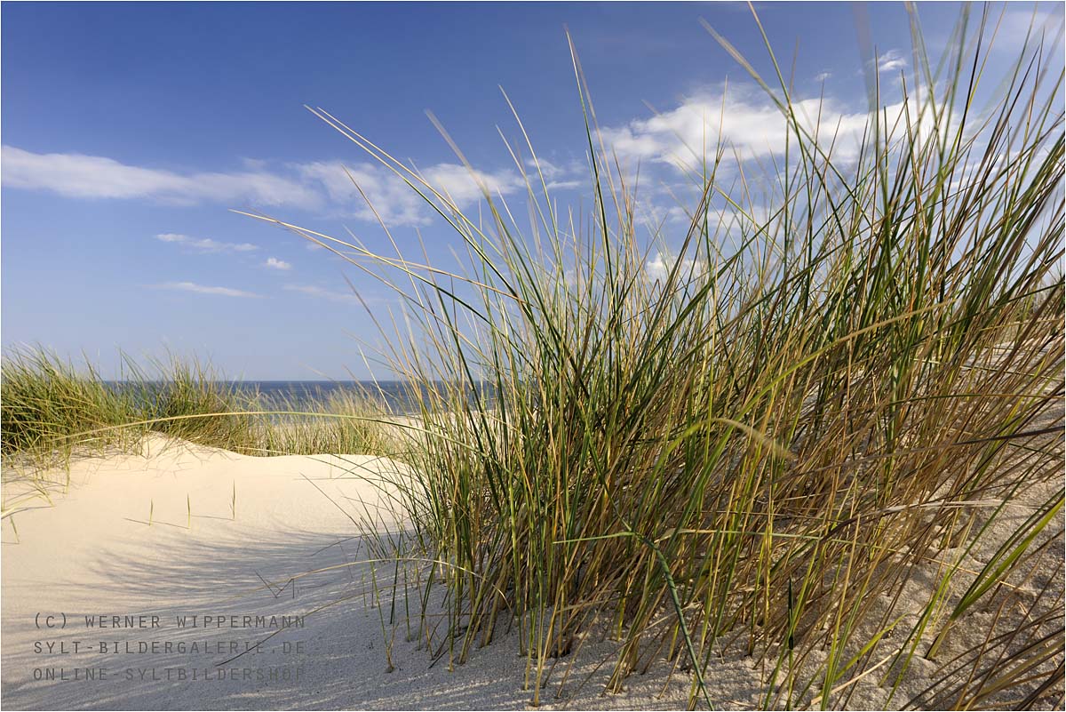 Strandbilder - Strandbilder Leinwand- Glasbilder - Sylt-Bildergalerie