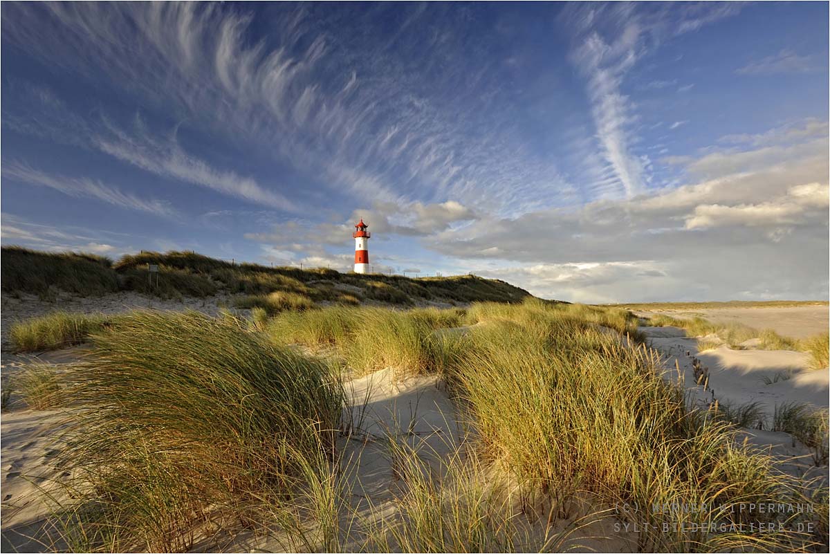 Strandbilder - Strandbilder Leinwand- Glasbilder - Sylt-Bildergalerie