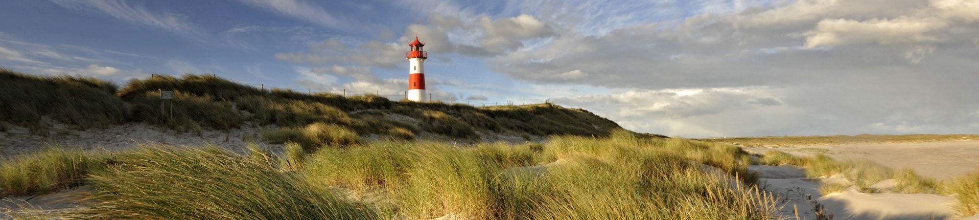 Ellenbogen Sylt - Die schönsten Bilder vom Ellenbogen Sylt-Bildergalerie