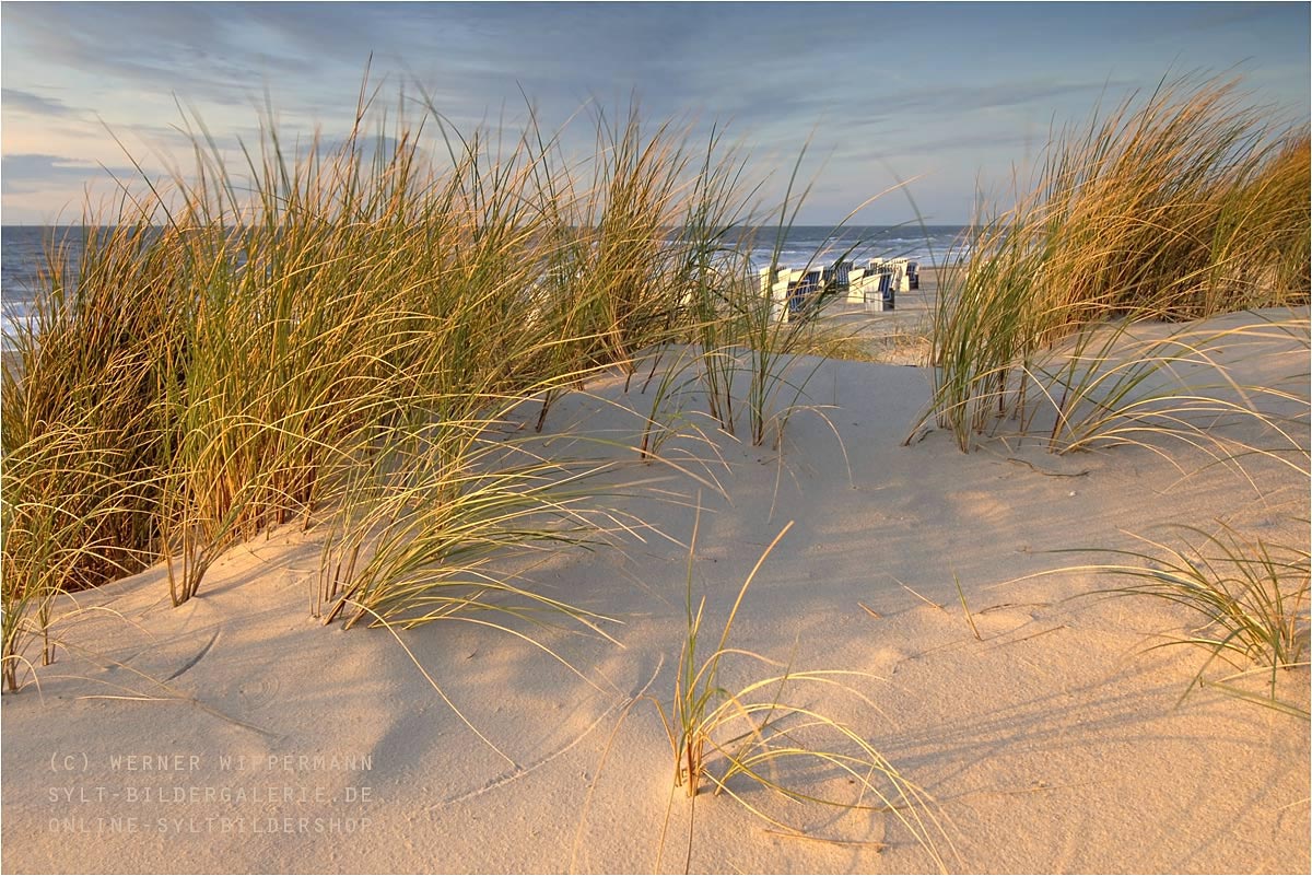 Sylt Fotos - Traumhafte Sylt-Motive für Ihre Räume - Sylt-Bildergalerie