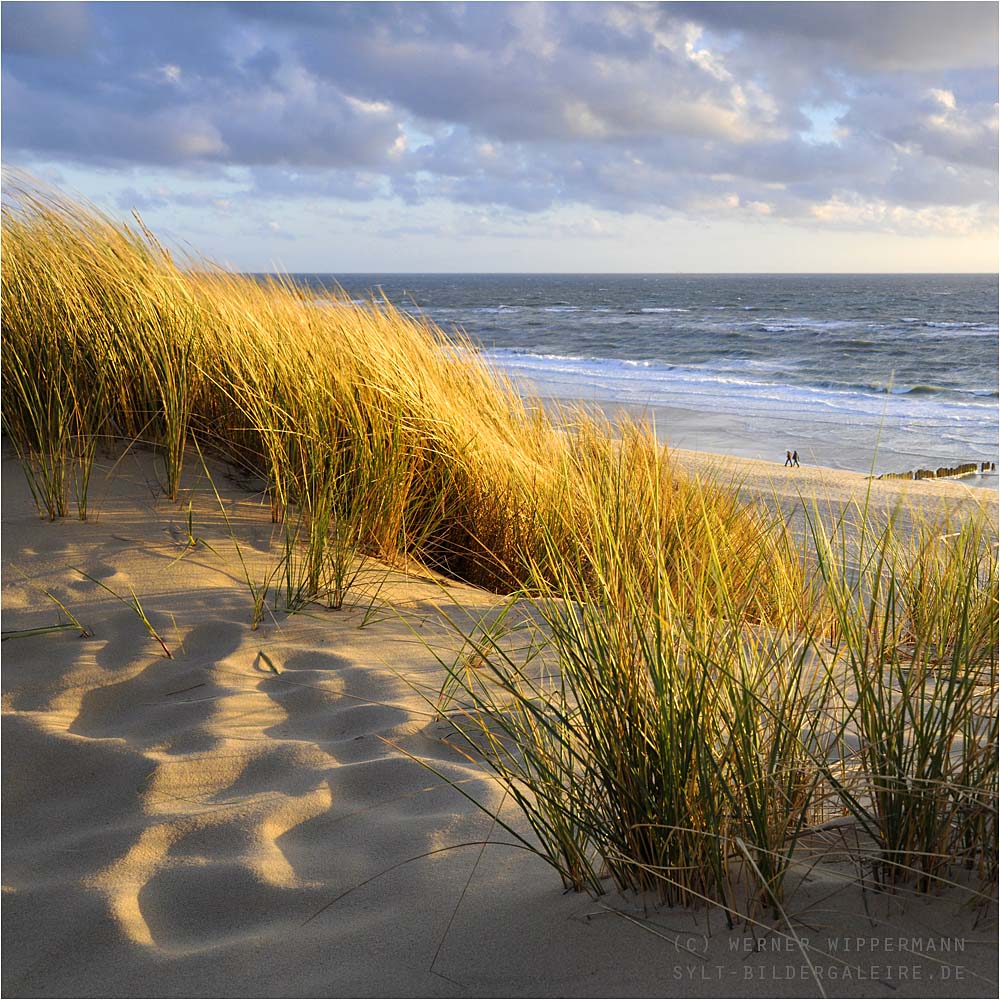 Meer Bilder - Meer Bilder auf Leinwand u.v.m - Sylt-Bildergalerie